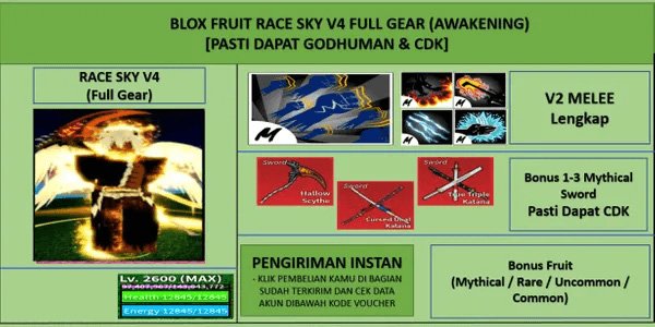 Buy Blox Fruits Accounts For Sale Cheap Safe U4gm