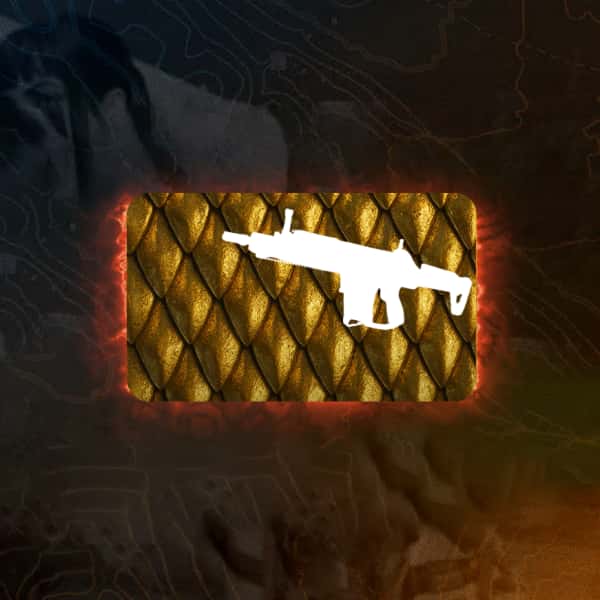 Buy CoD Black Ops 7 Golden Dragon Camo Boosting | Fast Zombies Mastery ...