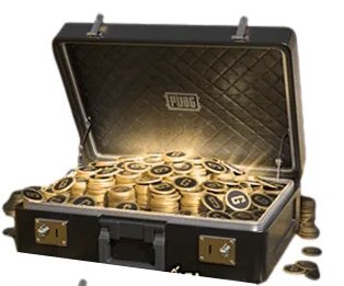 PUBG Cheap Premium Items for Sale | Fast & Legal - U4GM