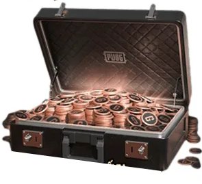 PUBG Cheap Premium Items for Sale | Fast & Legal - U4GM