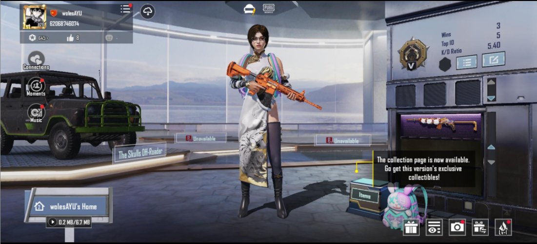 PUBG Mobile Rare Skin Account for Sale | Fast & Legal